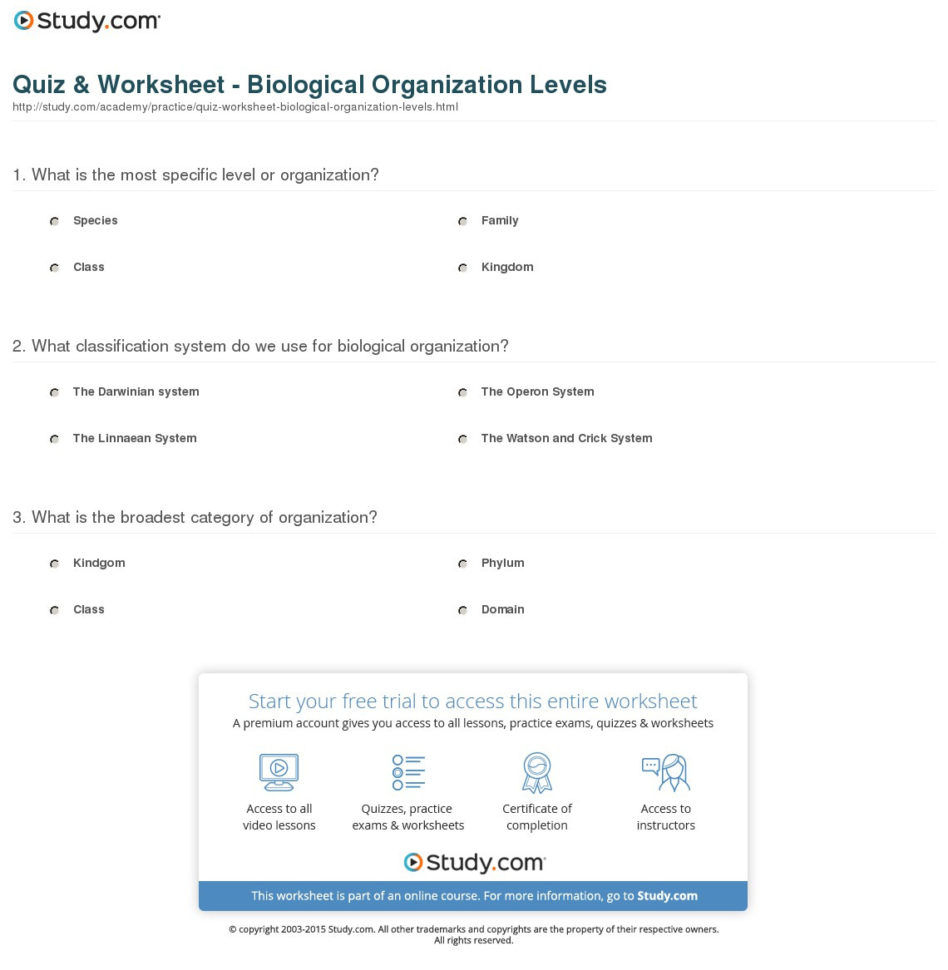 Levels Of Biological Organization Worksheet — db-excel.com