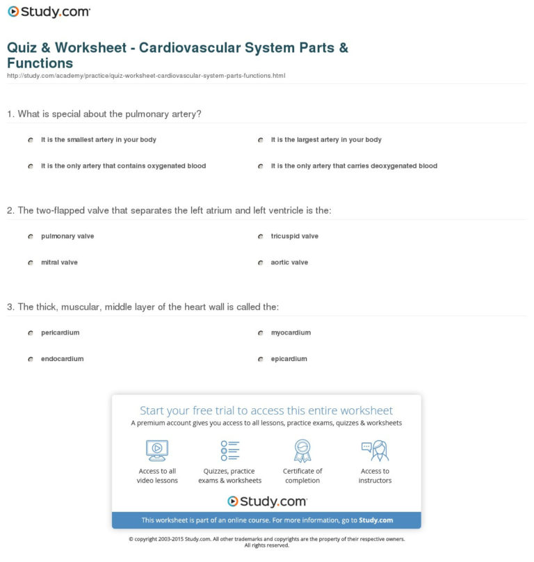 Quiz Worksheet Cardiovascular System Parts Functions — db-excel.com