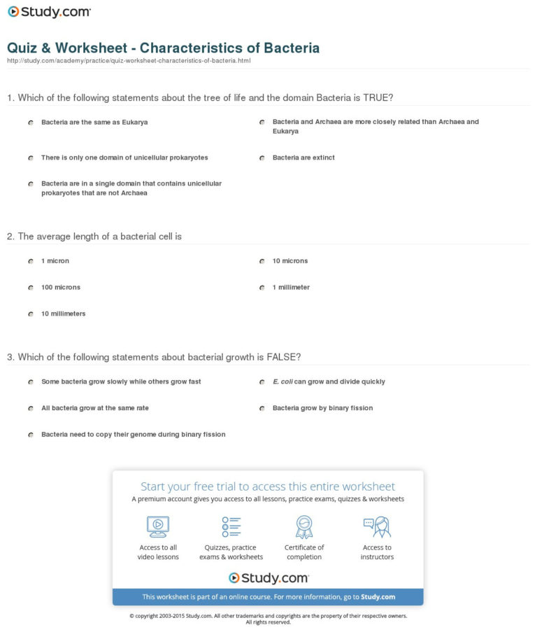 Characteristics Of Bacteria Worksheet — db-excel.com