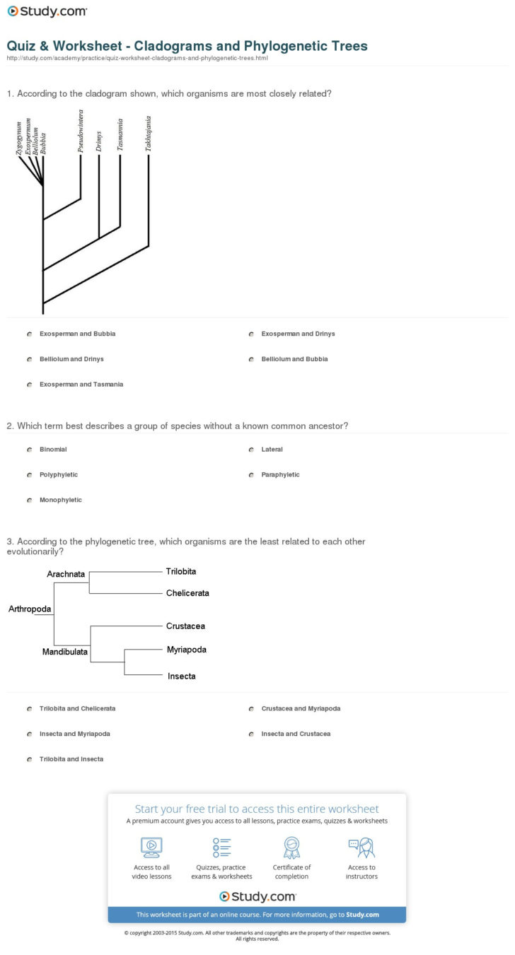 Quiz Worksheet Cladograms And Phylogenetic Trees Study — db-excel.com