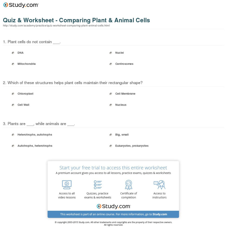 Quiz Worksheet Comparing Plant Animal Cells Study — db-excel.com