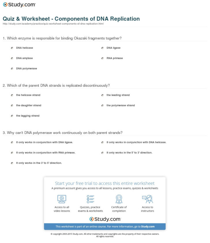 Quiz Worksheet Components Of Dna Replication Study — db-excel.com