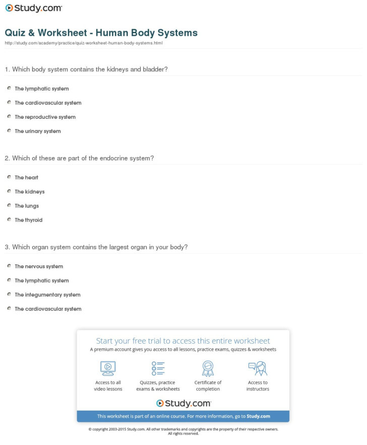 Quiz Worksheet Human Body Systems Study — db-excel.com