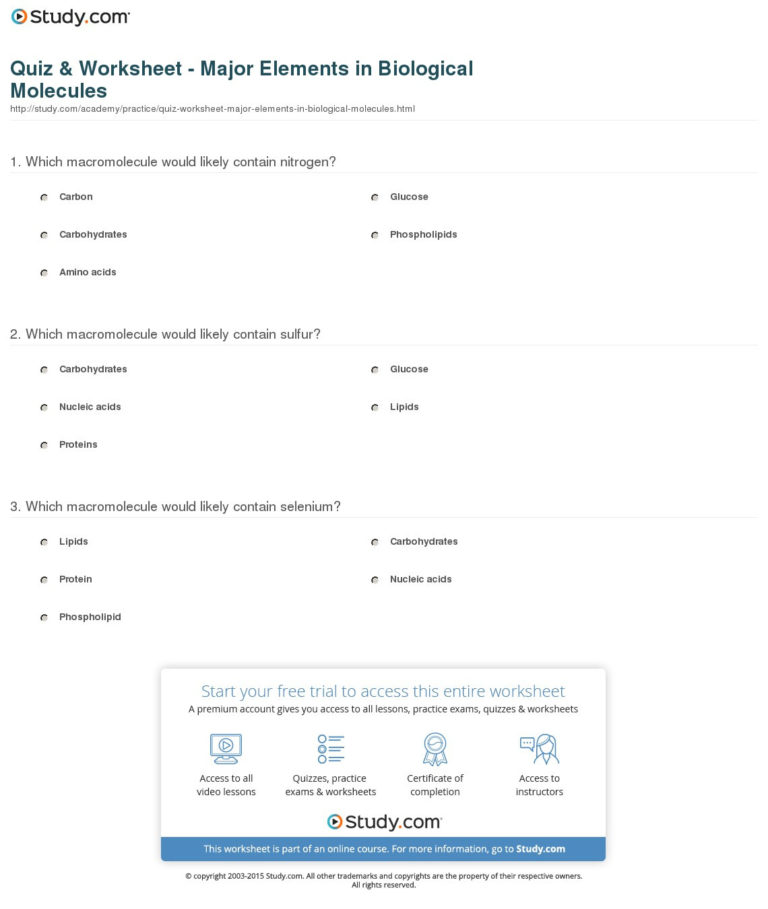 Biomolecules Worksheet Answers — db-excel.com