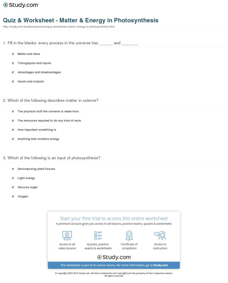 Photosynthesis Worksheet Middle School — db-excel.com