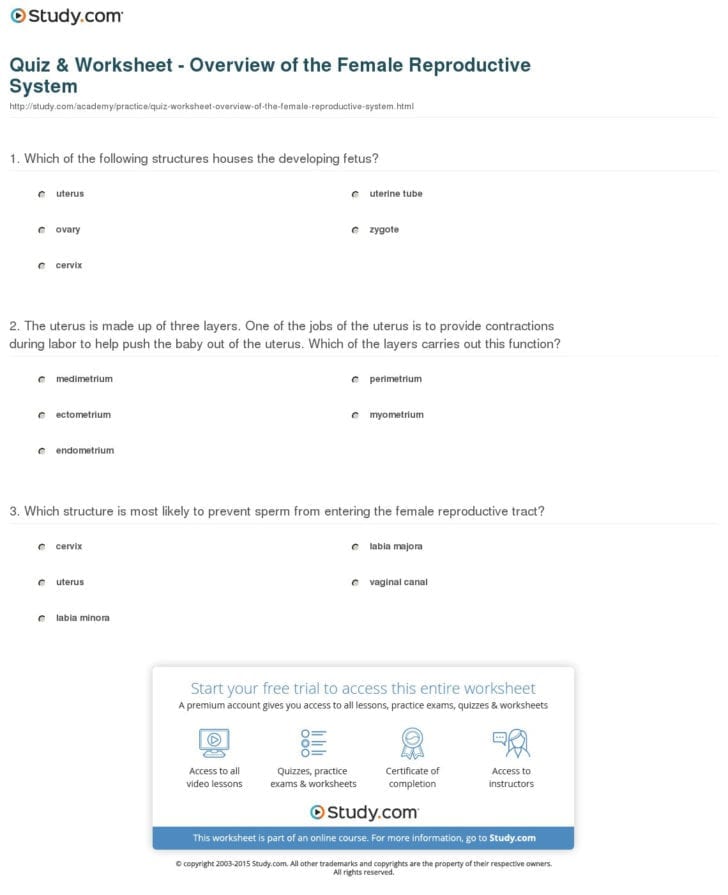Quiz Worksheet Overview Of The Female Reproductive — db-excel.com
