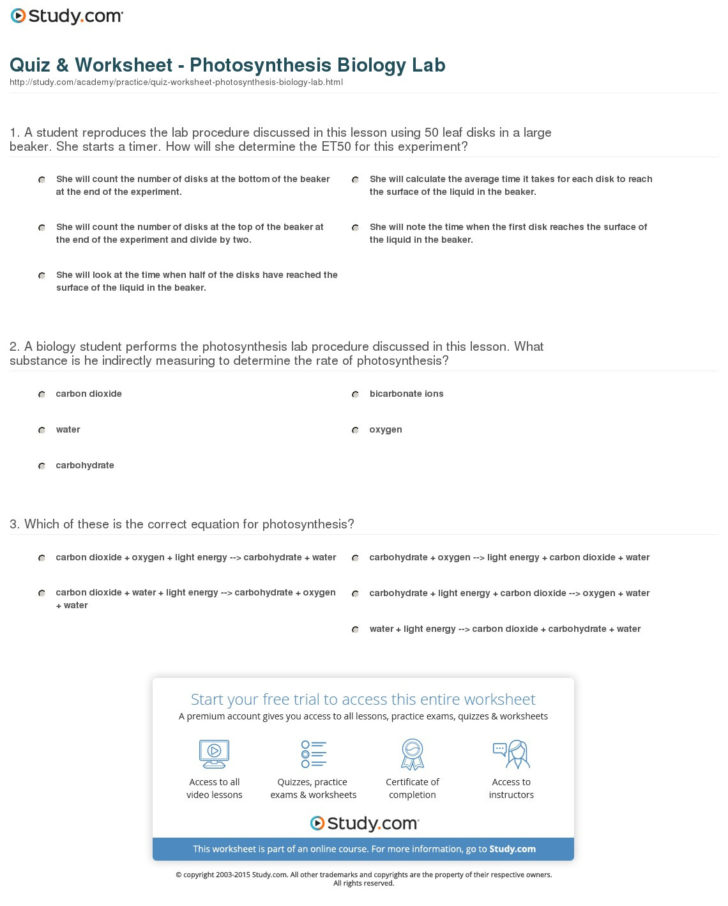 Photosynthesis Worksheet High School — db-excel.com