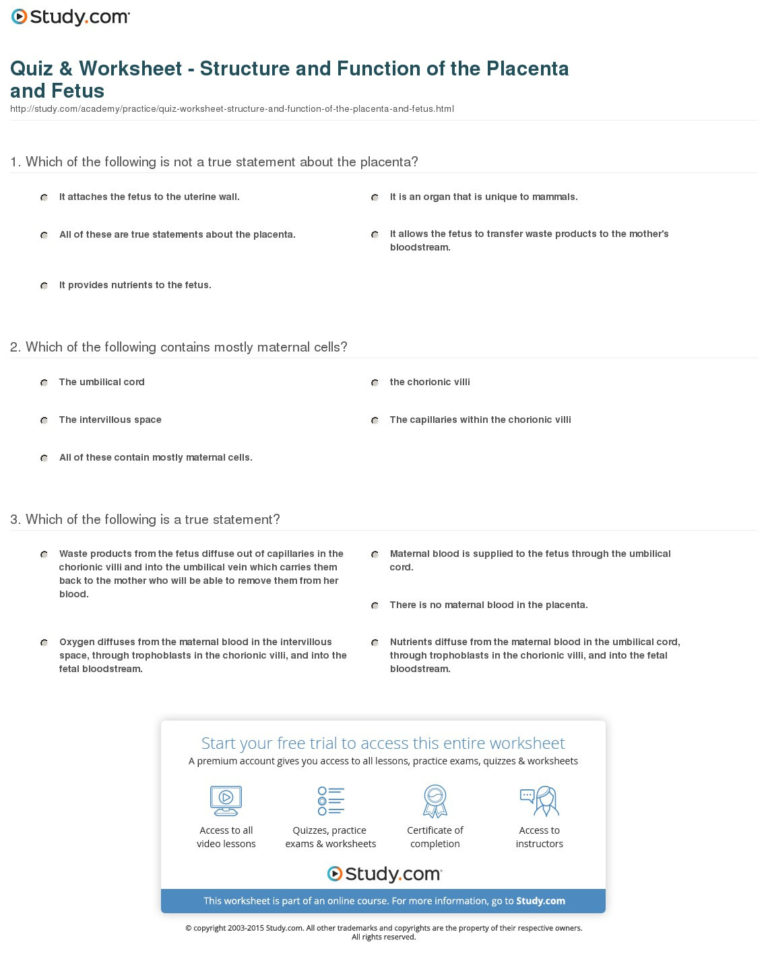 Quiz Worksheet Structure And Function Of The Placenta — db-excel.com