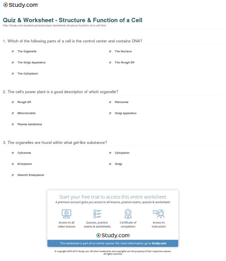 Cellular Structure And Function Worksheet — db-excel.com