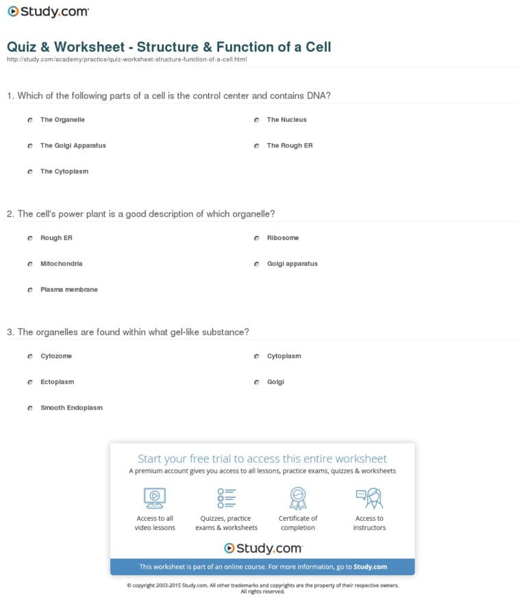 Cell Structure And Function Worksheet Answer Key — db-excel.com