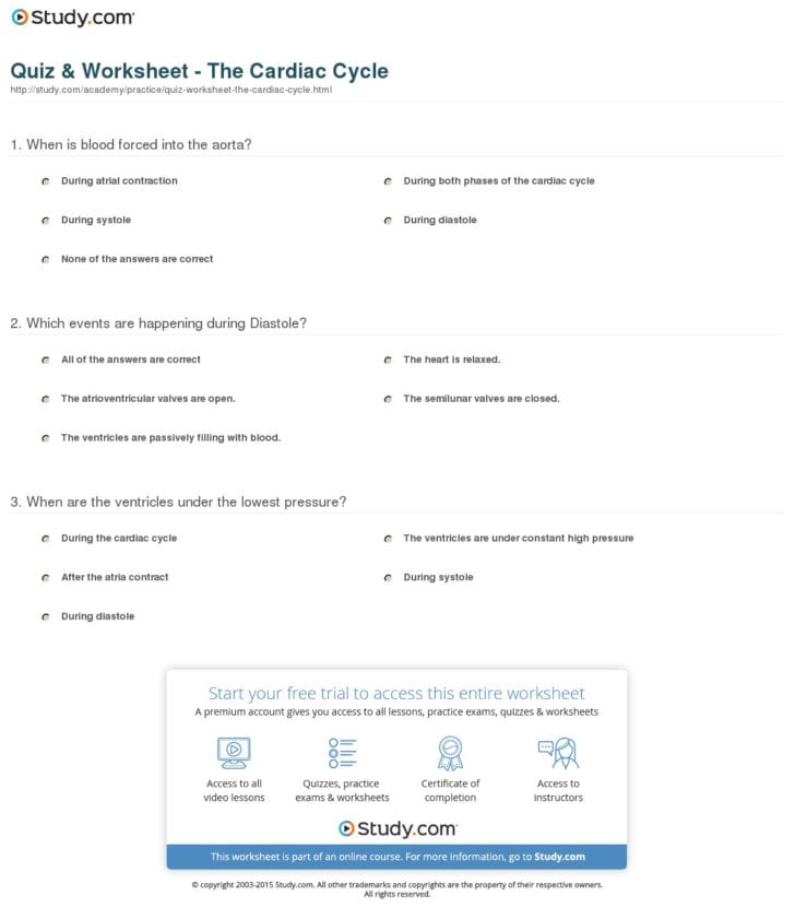 Heart Valves And The Cardiac Cycle Worksheet Answers — db-excel.com