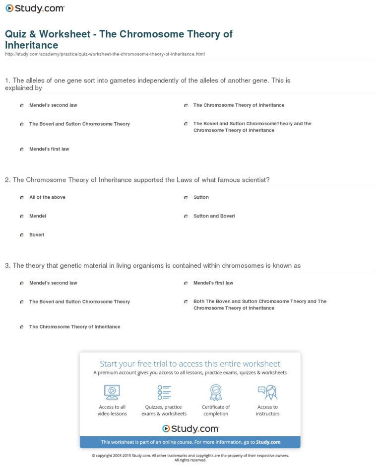 Quiz Worksheet The Chromosome Theory Of Inheritance — db-excel.com