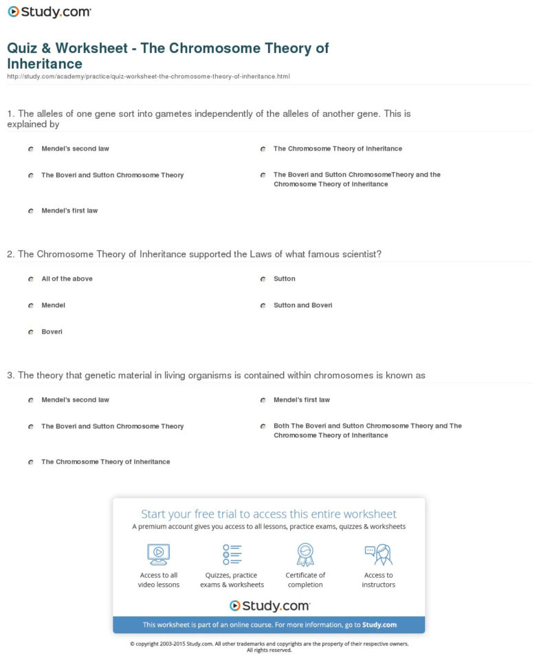 Quiz Worksheet The Chromosome Theory Of Inheritance — db-excel.com