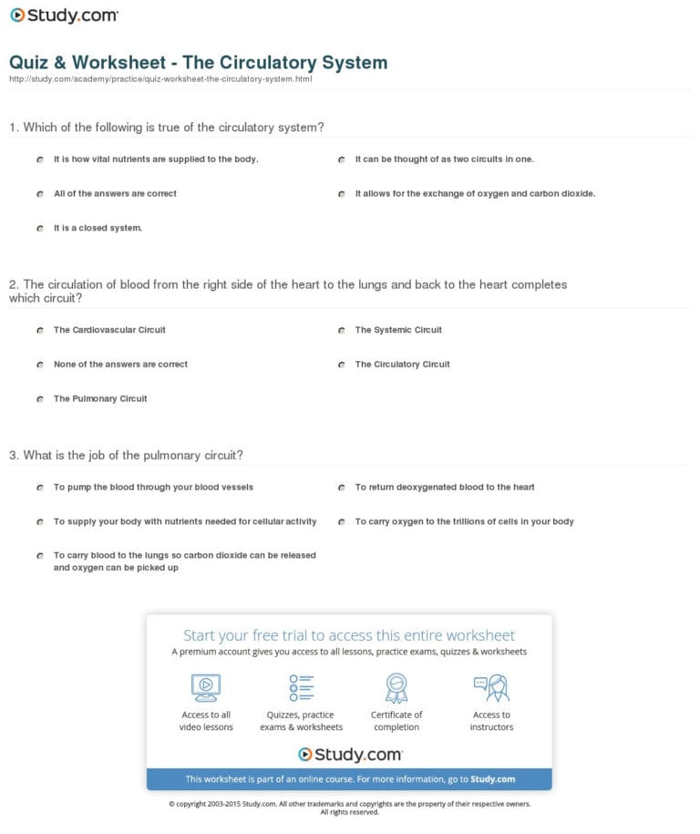 Quiz Worksheet The Circulatory System Study — db-excel.com