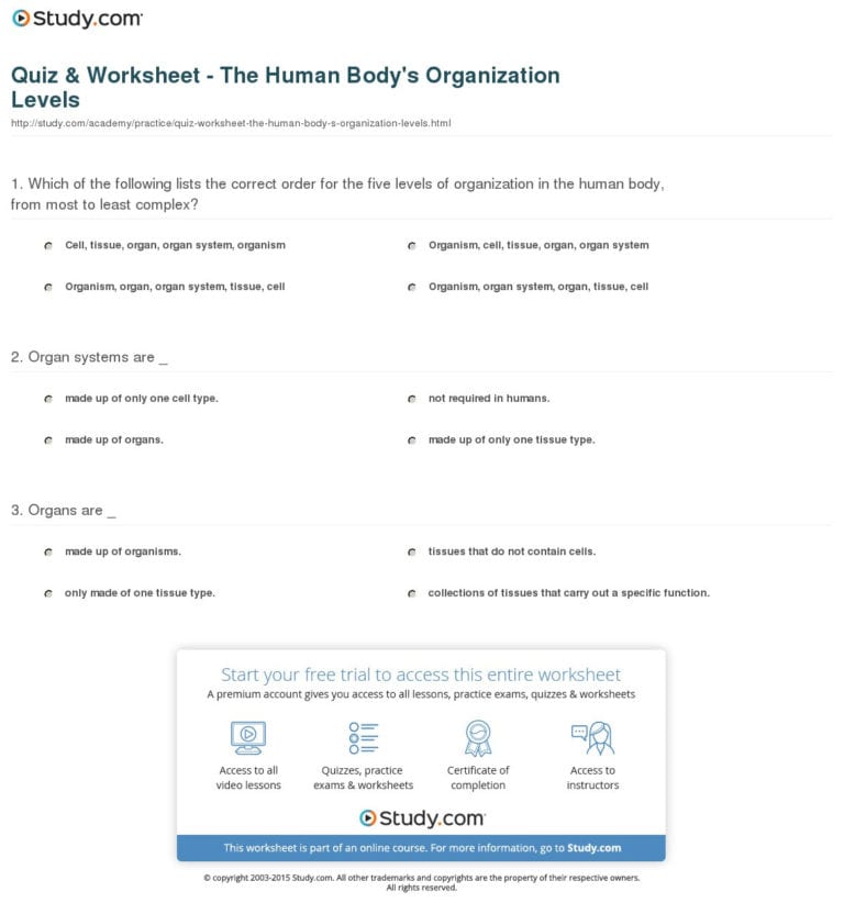 Levels Of Organization Worksheet Answers Db excel Levels Of Organization Worksheet Answers Db excel