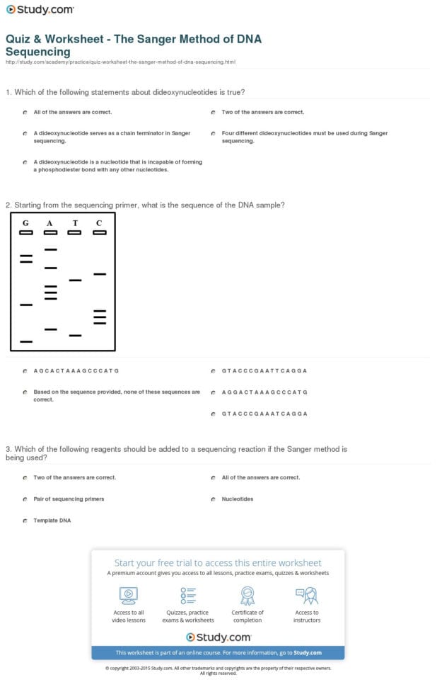Quiz Worksheet The Sanger Method Of Dna Sequencing — db-excel.com
