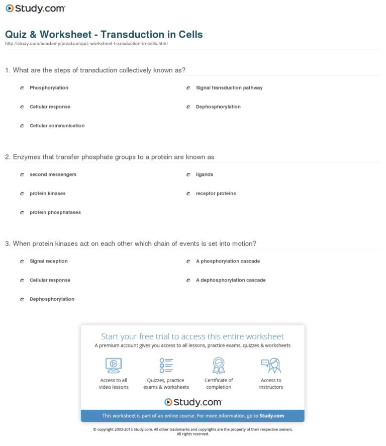 Signal Transduction Pathways Worksheet — db-excel.com