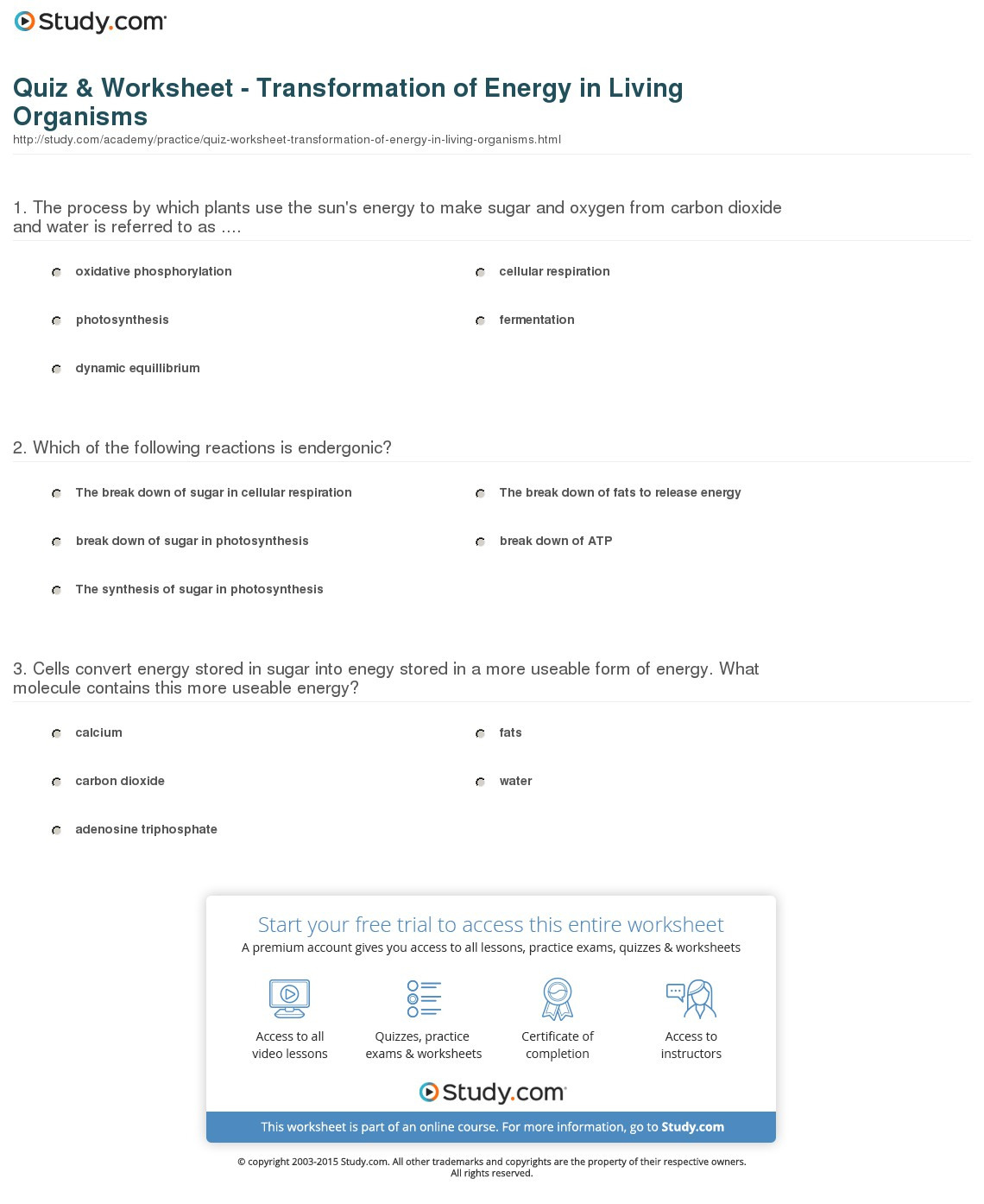 Energy Transfer In Living Organisms Worksheet Db excel Energy Transfer In Living Organisms Worksheet Db excel