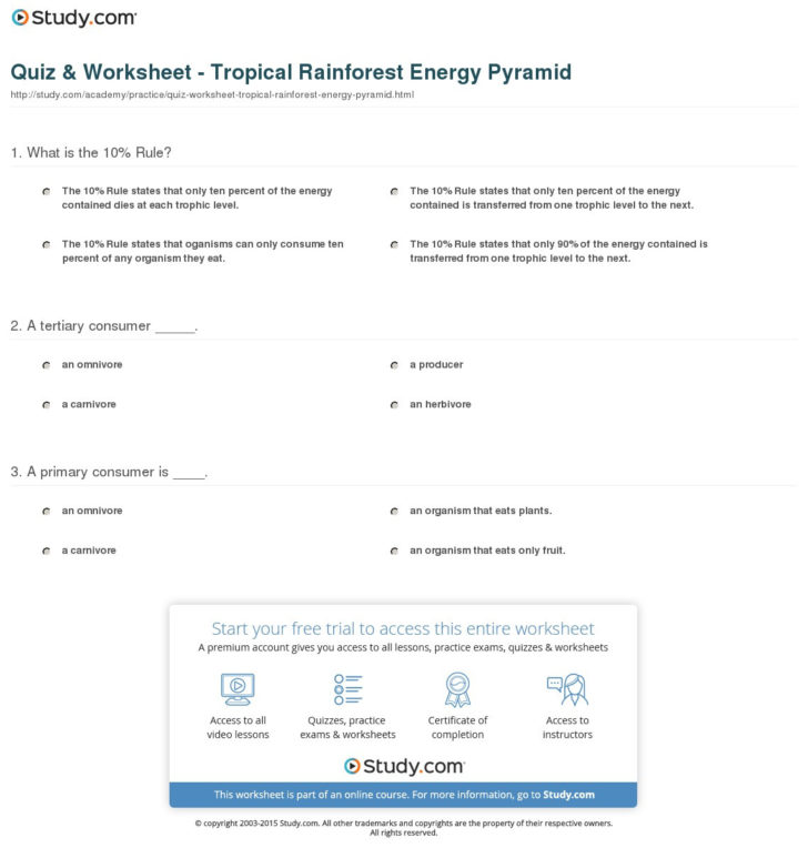 Energy Pyramid Worksheet — db-excel.com