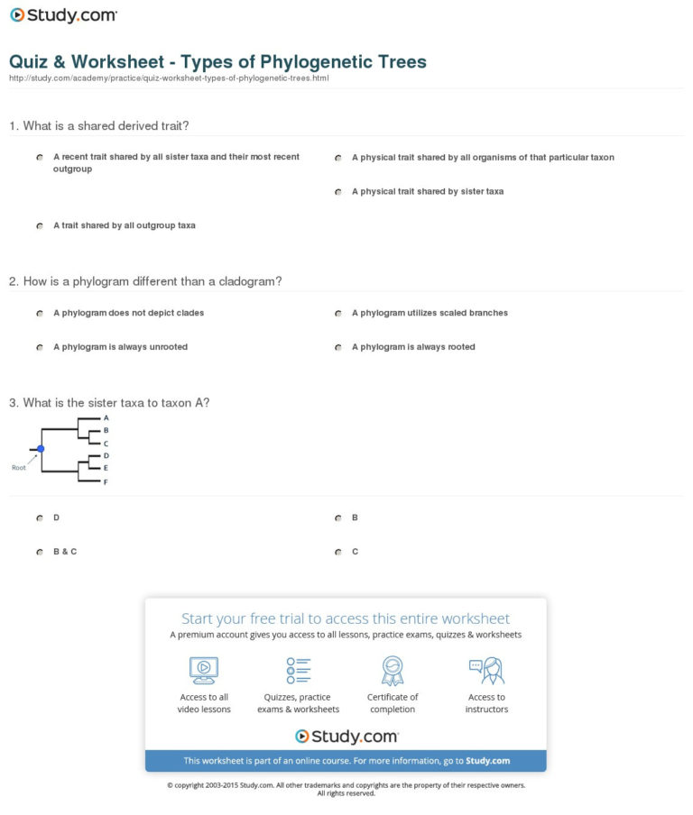 Quiz Worksheet Types Of Phylogenetic Trees Study — db-excel.com