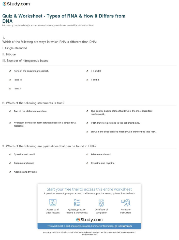 Quiz Worksheet Types Of Rna How It Differs From Dna — db-excel.com