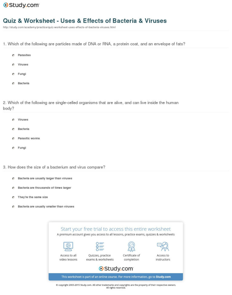 Inside The Living Body Worksheet Answers — db-excel.com