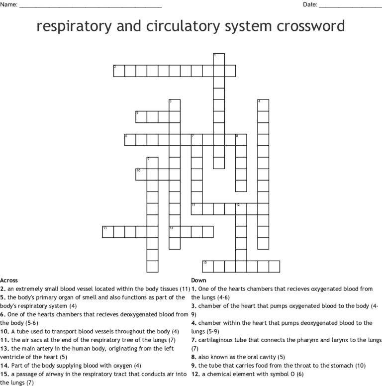 Respiratory And Circulatory System Crossword Word — db-excel.com