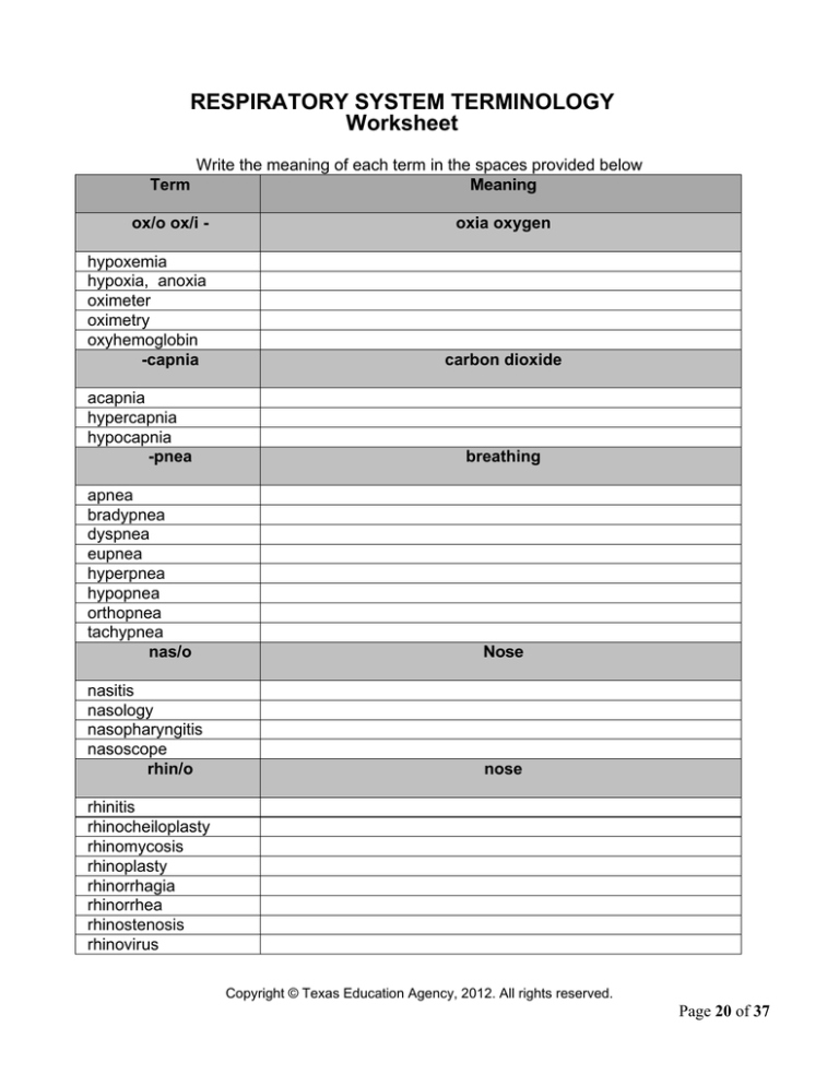 Respiratory System Medical Terminology Worksheet — db-excel.com