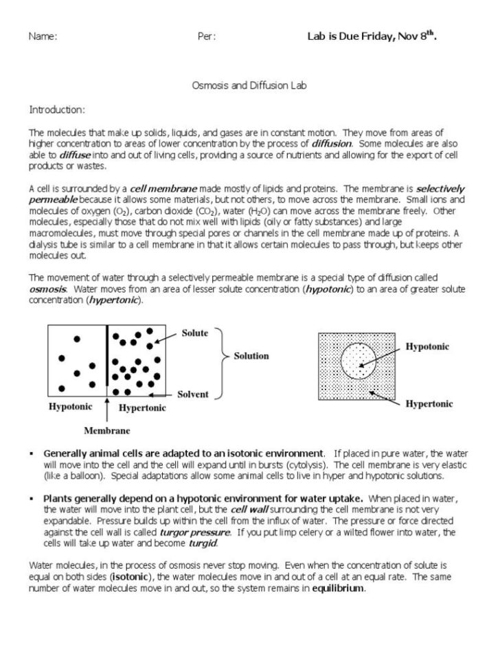 Science 8 Diffusion And Osmosis Worksheet Answers — db-excel.com