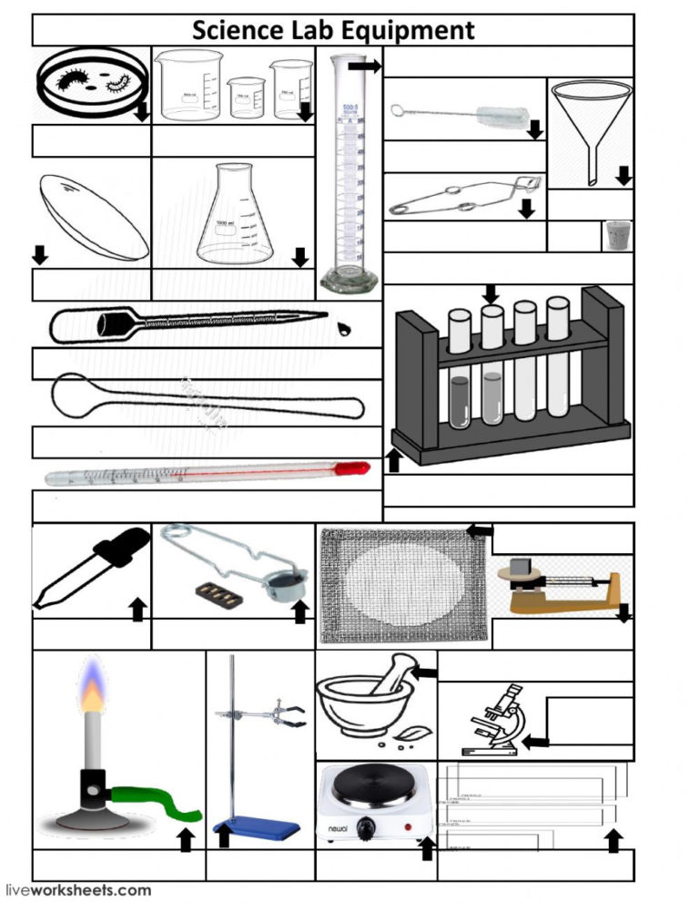Science Lab Equipment Interactive Worksheet — db-excel.com