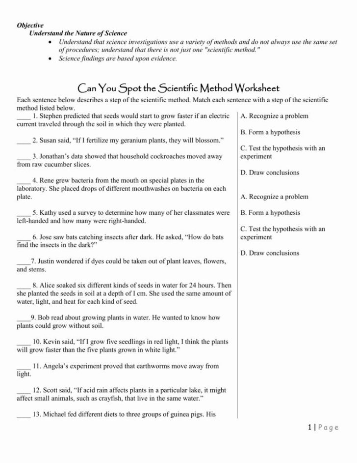 Scientific Method Worksheet Answer Key — db-excel.com