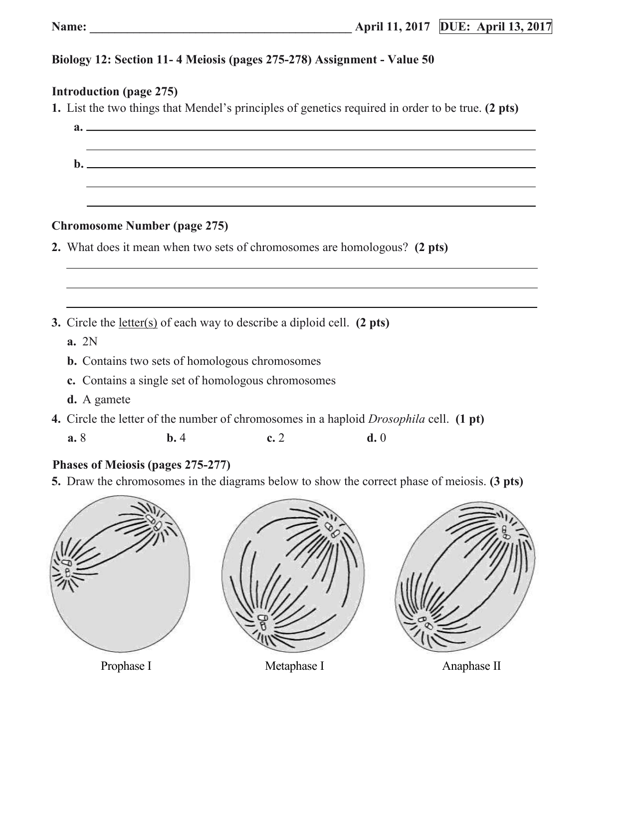 Chapter 11 4 Meiosis Answer Key My PDF Collection 2021