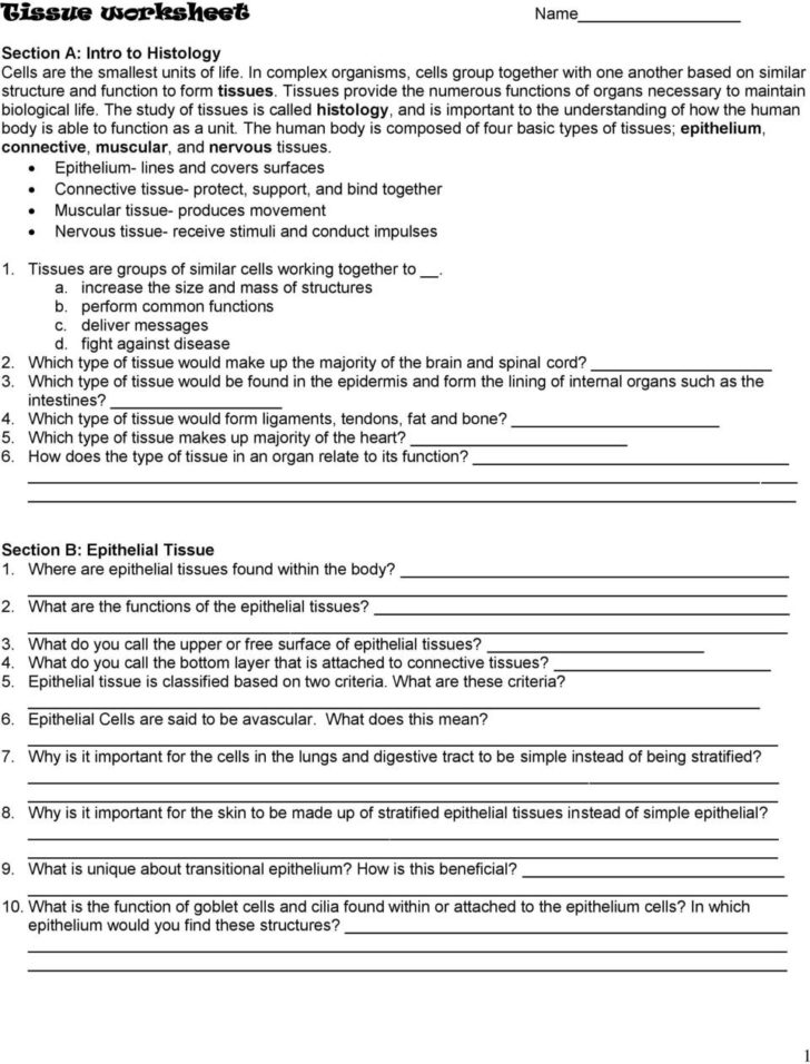 Tissue Worksheet Section A Intro To Histology Answers — db-excel.com
