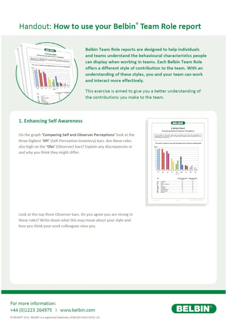 Session Ideas Handouts Belbin — db-excel.com