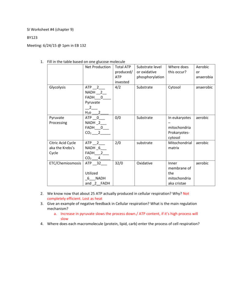 Anaerobic Pathways For Atp Production Worksheet — db-excel.com
