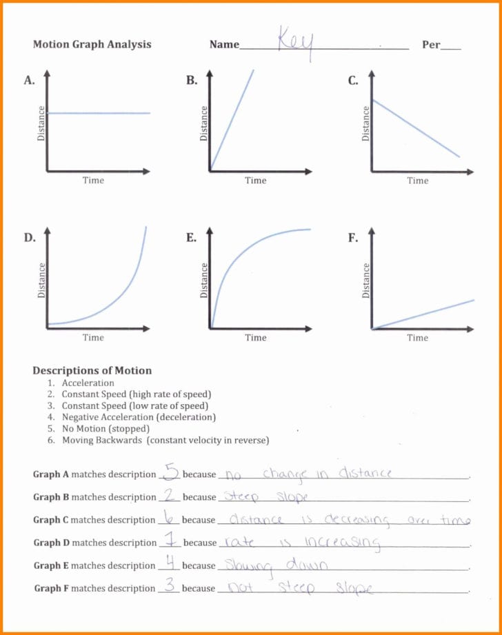 Graphical Analysis Of Motion Worksheet Answers — db-excel.com
