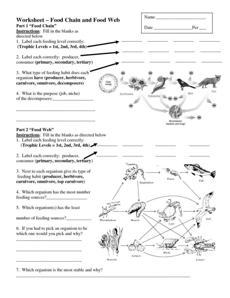Ter Carbon And Nitrogen Cycle Worksheet Color Sheet Db excel ter-carbon-and-nitrogen-cycle-worksheet-color-sheet-db-excel