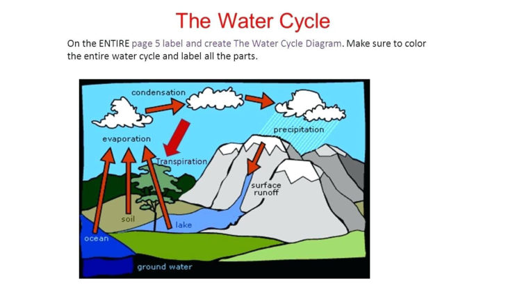 Fill In The Blank Water Cycle Diagram Worksheet — db-excel.com