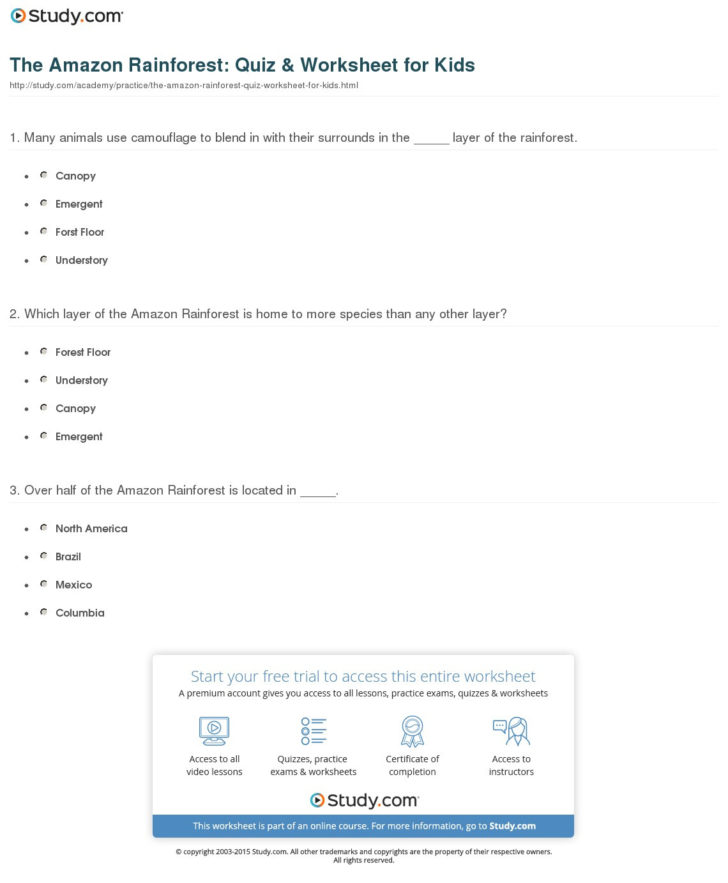 The Amazon Rainforest Quiz Worksheet For Kids Study — db-excel.com
