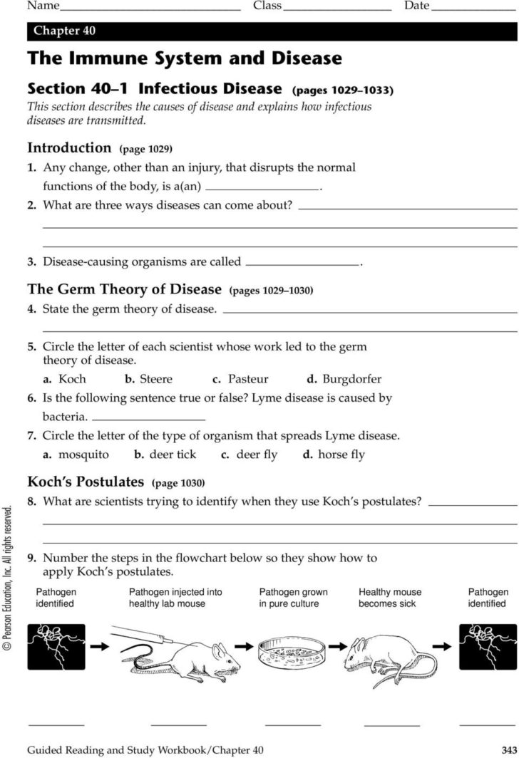 Immune System Worksheets For 5Th Grade — db-excel.com