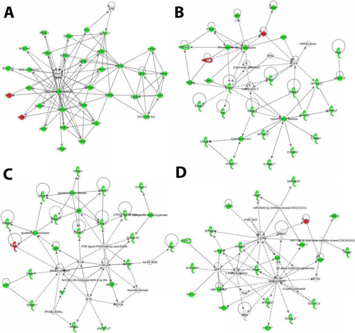 The Sixties The Years That Shaped A Generation Worksheet — db-excel.com