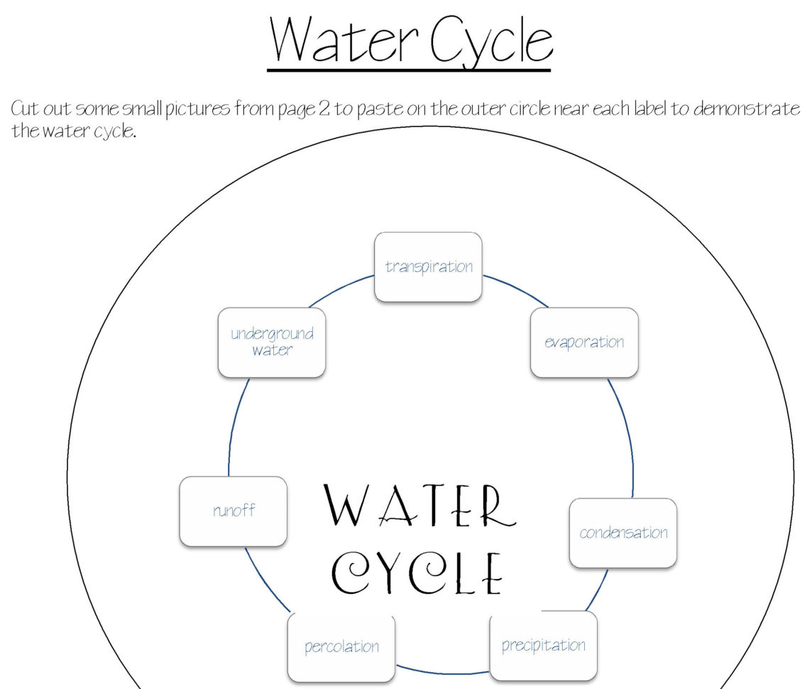 The Ter Cycle Diagram Pdf Wiring Library — db-excel.com