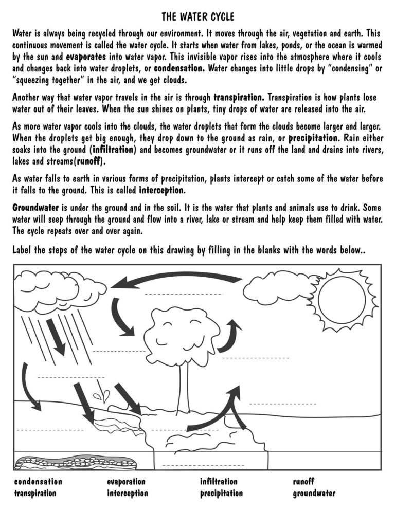 Fill In The Blank Water Cycle Diagram Worksheet — db-excel.com