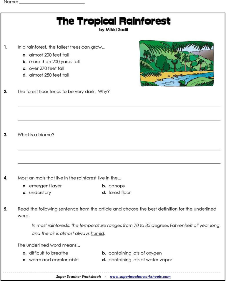 The Tropical Rainforest Rainforest Series Part 1 Mikki — db-excel.com