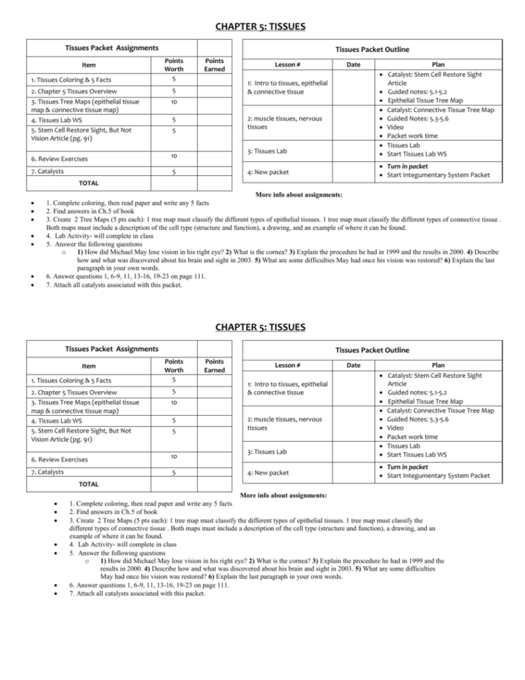 Tissues Packet Outline — db-excel.com