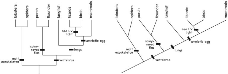 Tree Thinking Cognition Perception Diagrams — db-excel.com