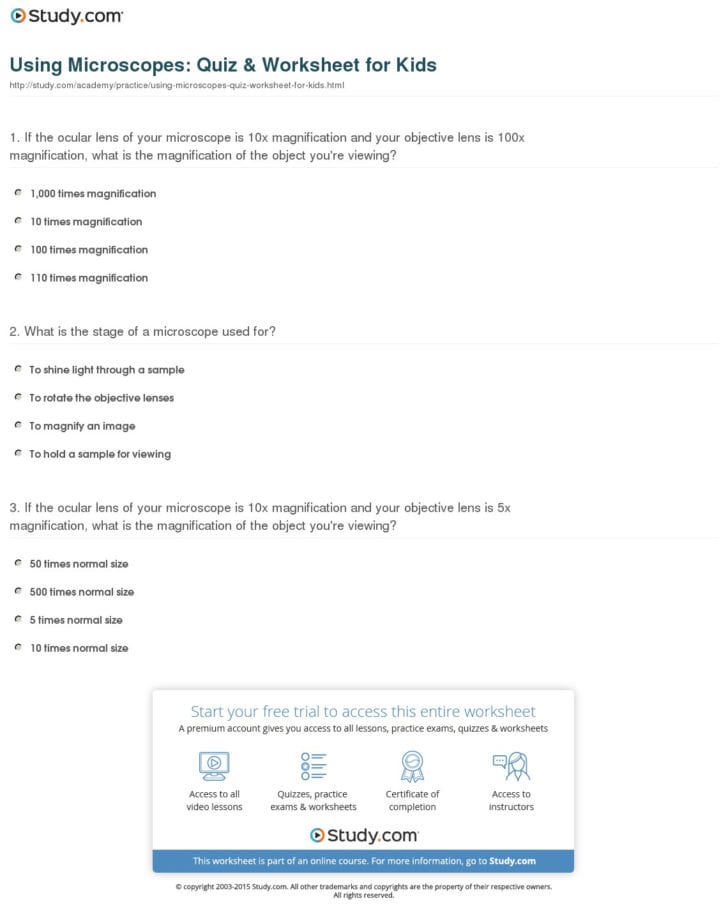 Using A Microscope Worksheet — db-excel.com