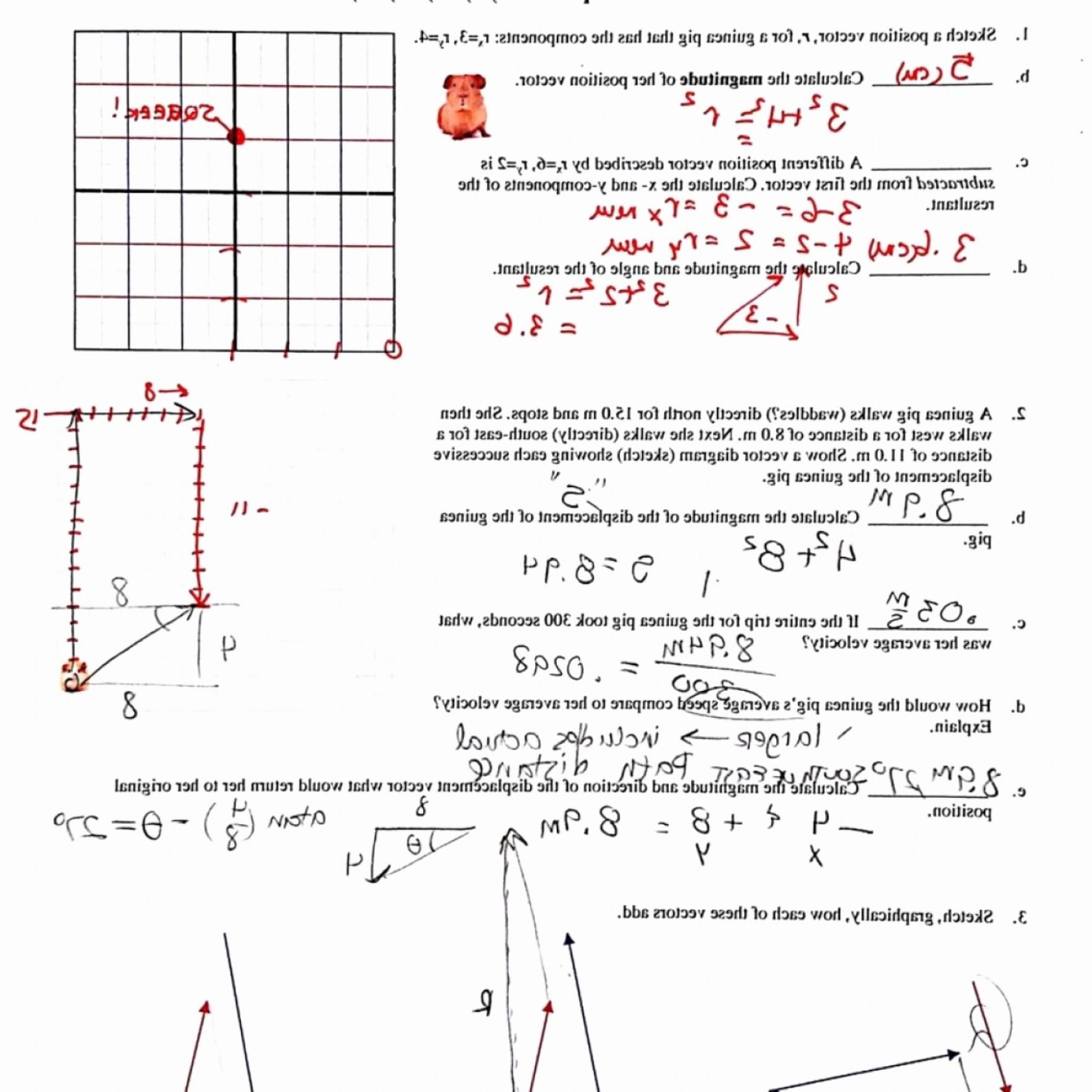Vectors Worksheet With Answers Db excel Vectors Worksheet With Answers Db excel