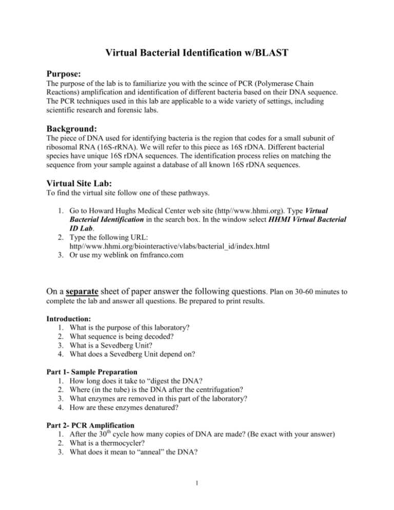 Bacterial Identification Lab Worksheet — db-excel.com