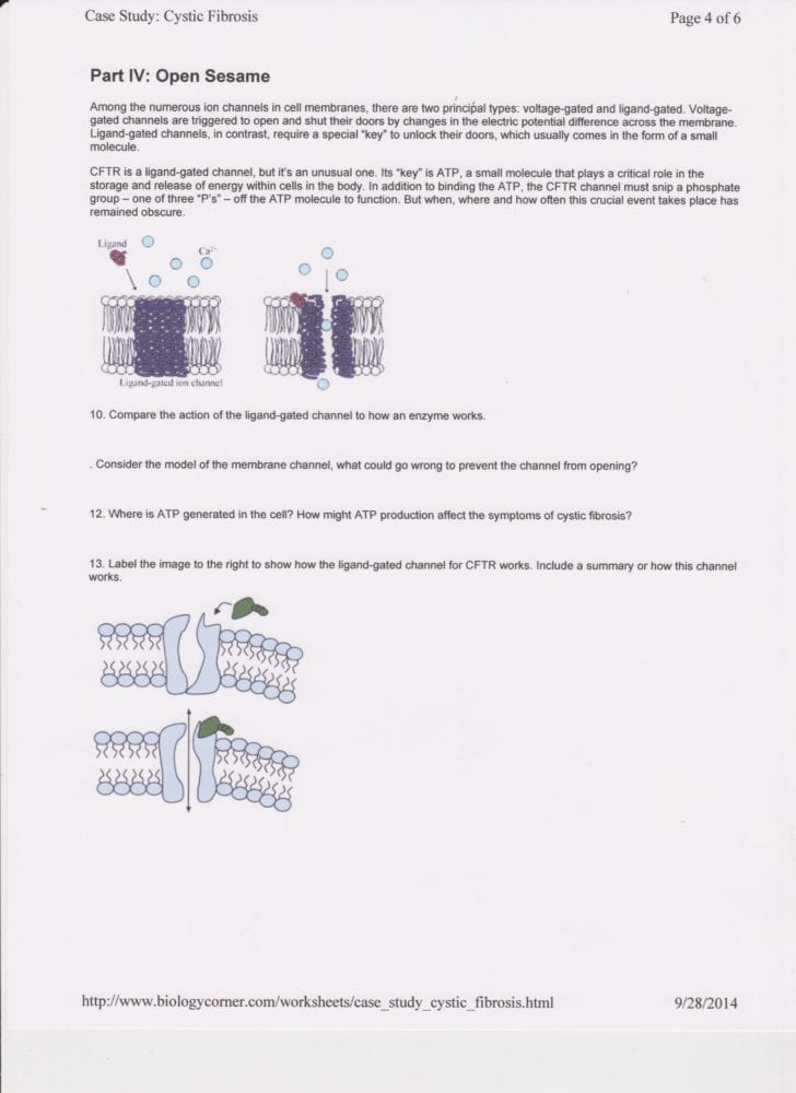 Week 7 Cell Lab And Cystic Fibrosis Case Study Mrborden's — db-excel.com
